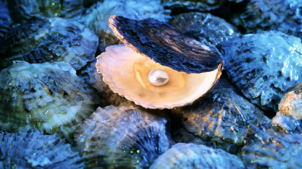 Why Japanese Akoya Pearls? - Pearls for Good